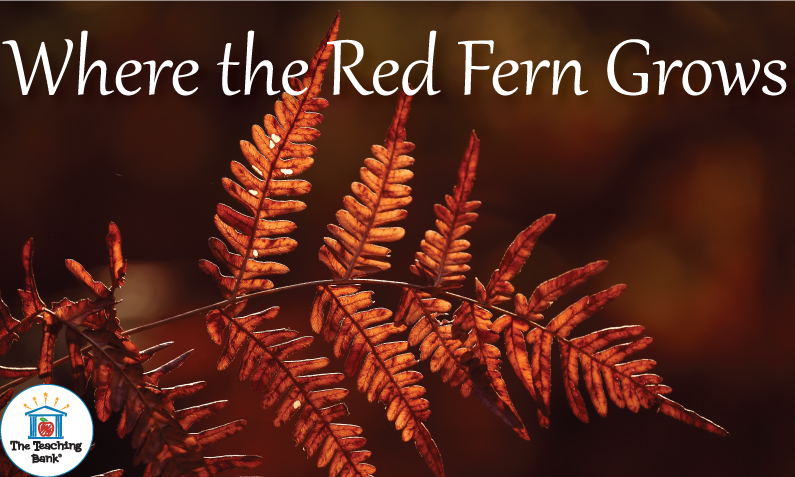 Unleashing the Power of Where the Red Fern Grows | The Teaching Bank