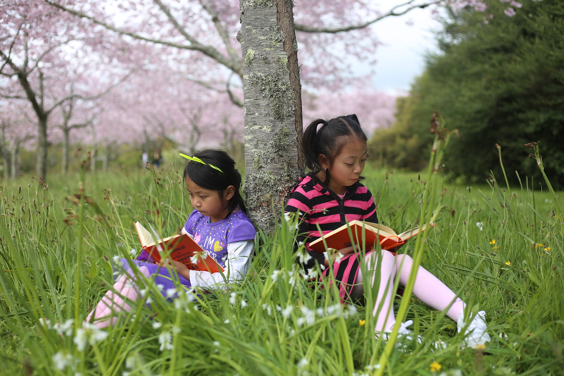 Got Spring Fever? - The Teaching Bank