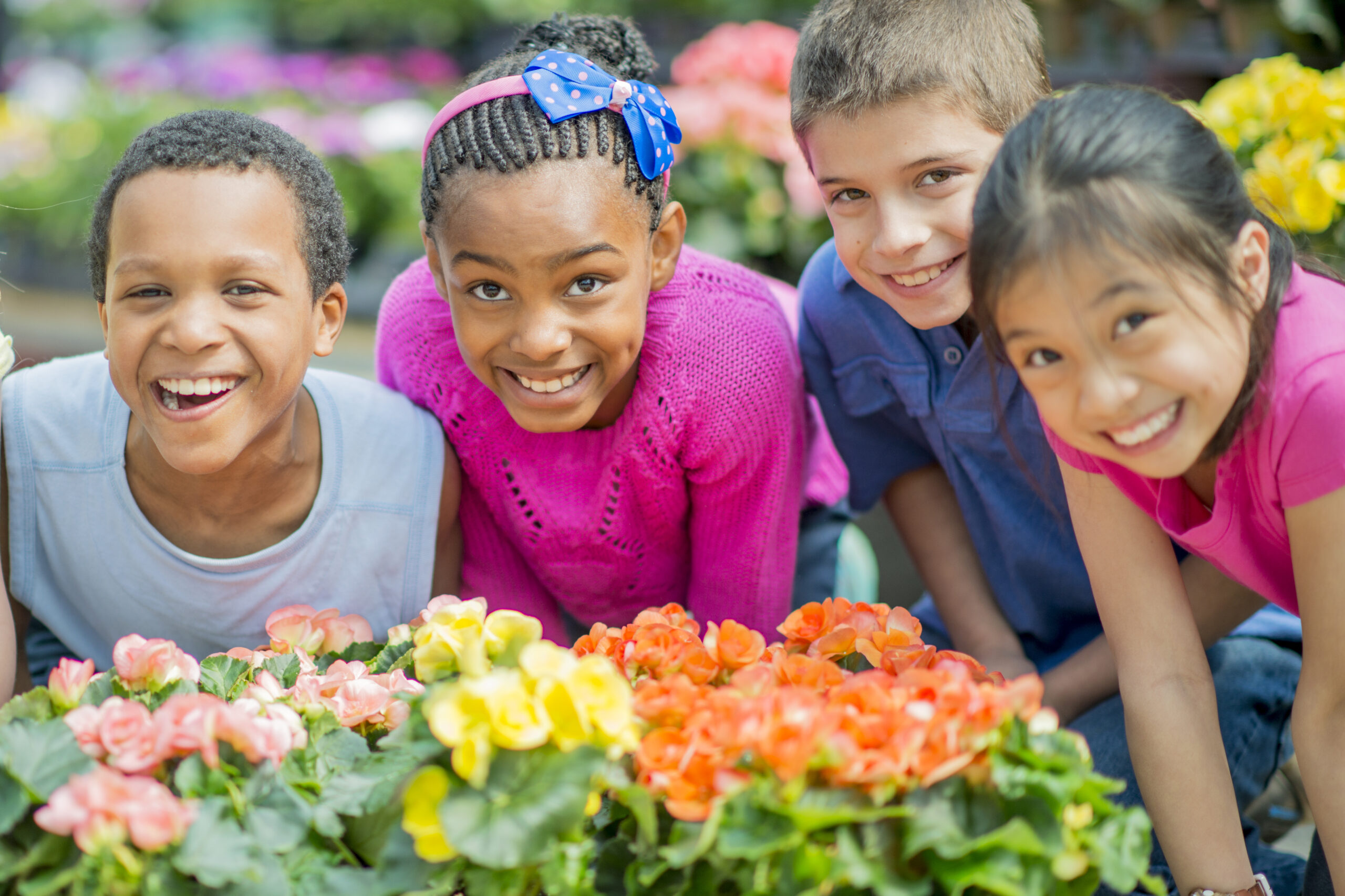 Got Spring Fever? - The Teaching Bank