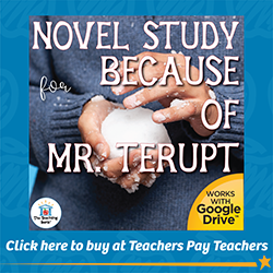 Master Point of View with Because of Mr. Terupt - The Teaching Bank