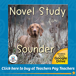 Dedication and Endurance with Sounder - The Teaching Bank