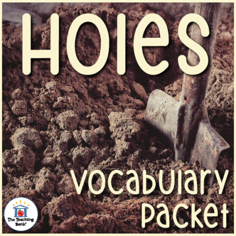 Holes Vocabulary Packet | The Teaching Bank
