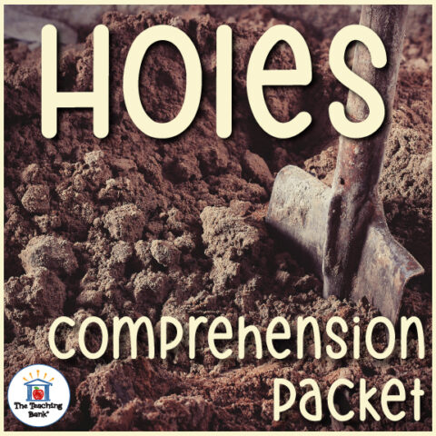 Holes Comprehension Packet | The Teaching Bank