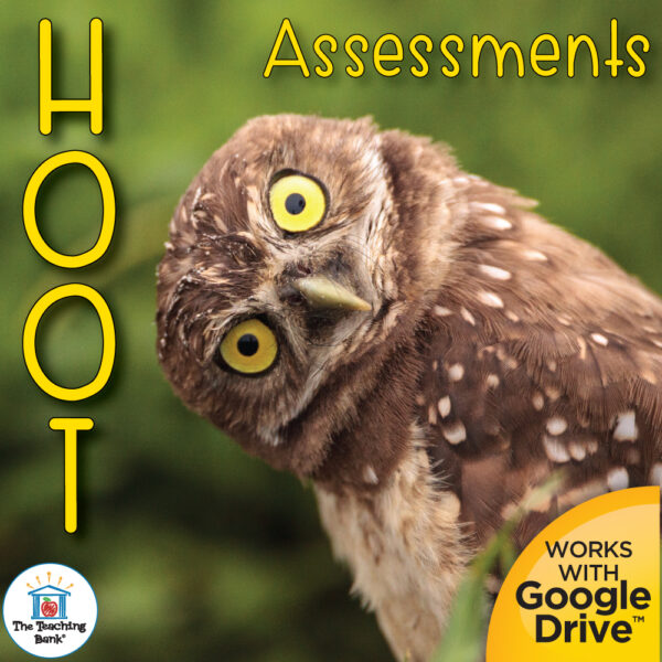 Hoot Book Unit Assessments for Google Forms | The Teaching Bank