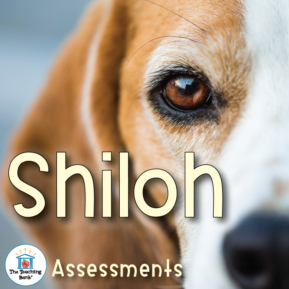 Shiloh Assessment Packet - The Teaching Bank