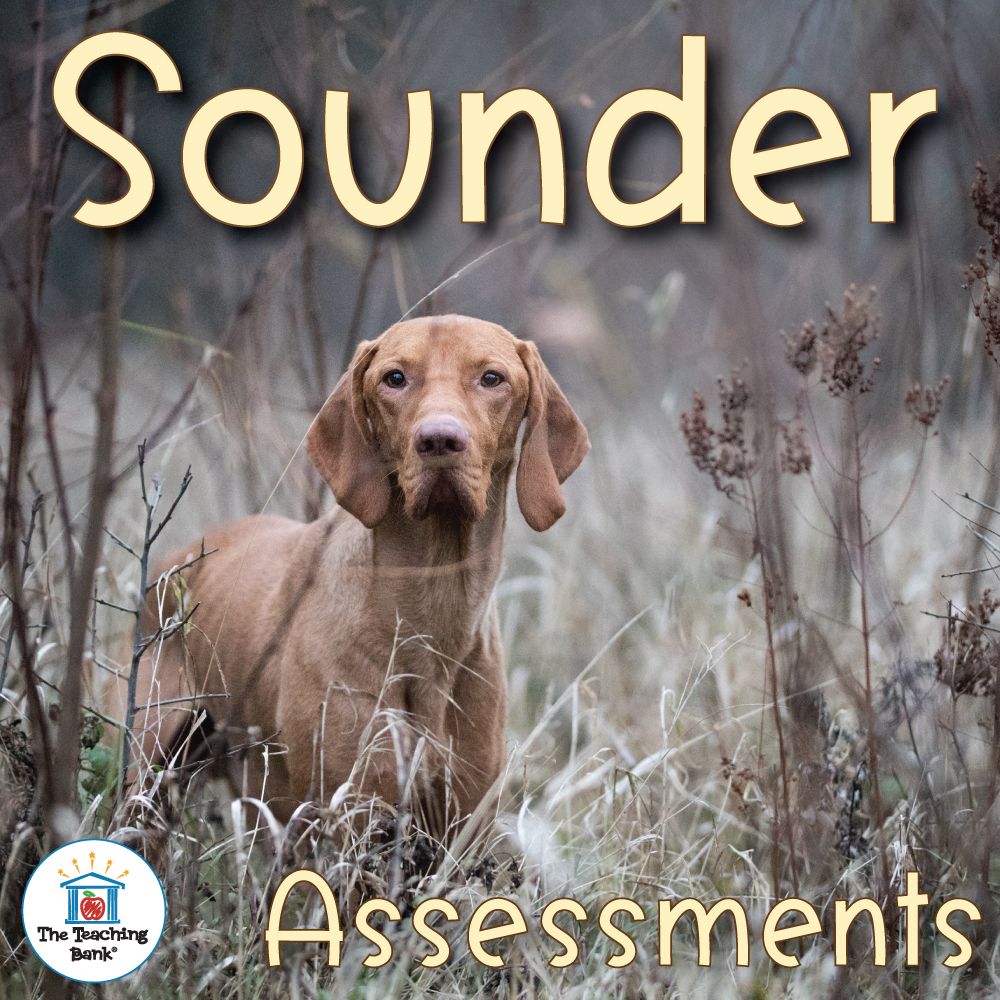 Sounder Assessment Packet - The Teaching Bank