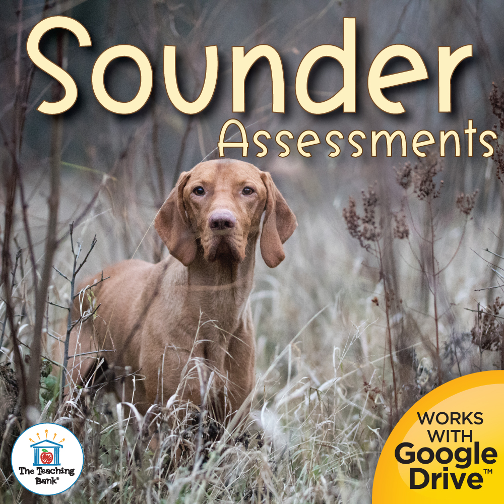 Sounder Book Unit Assessments for Google Forms - The Teaching Bank