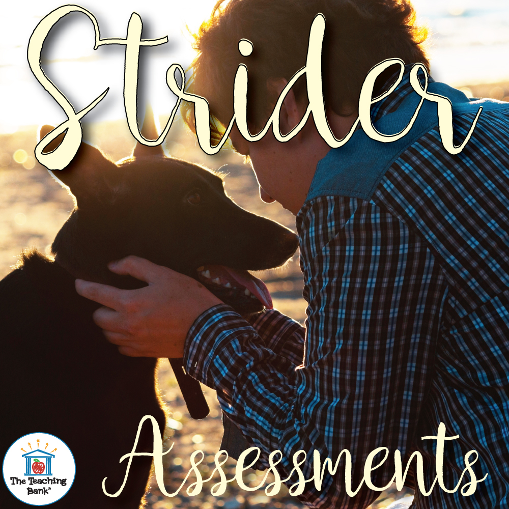 Strider Assessment Packet - The Teaching Bank