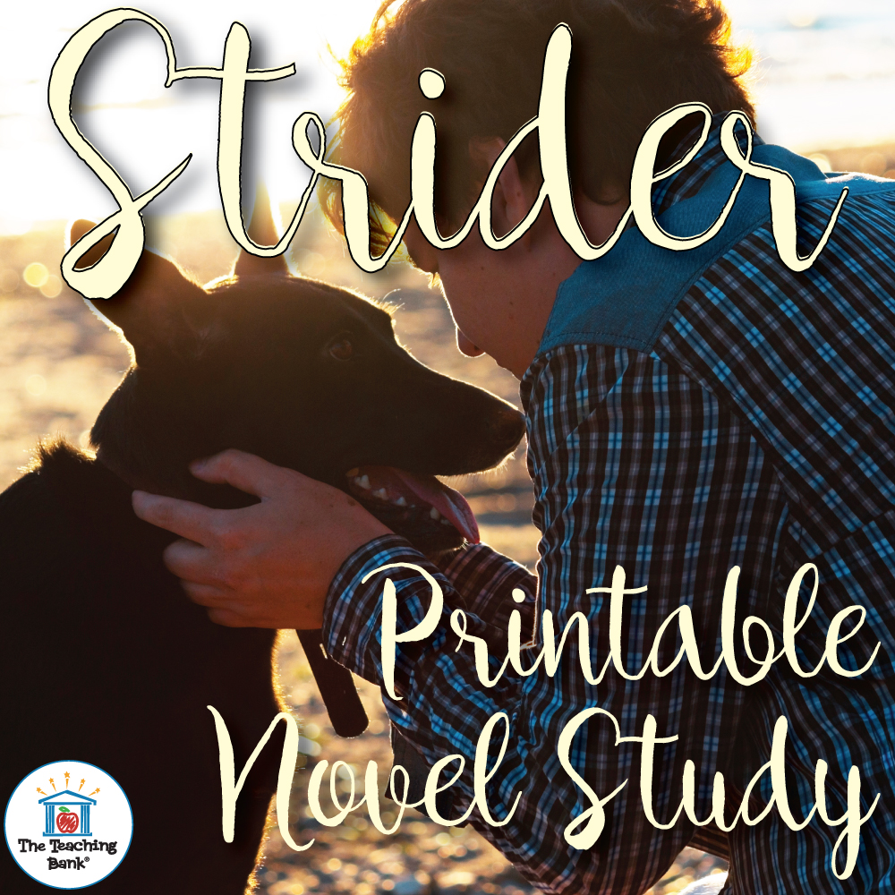 Strider Printable Novel Study - The Teaching Bank